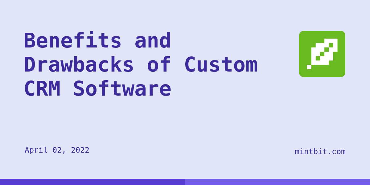 Benefits and Drawbacks of Custom CRM Software - Mintbit